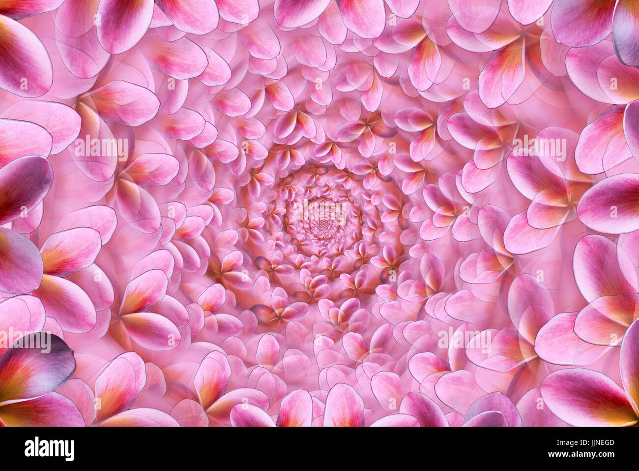 Circle of flowers garden hi-res stock photography and images - Alamy