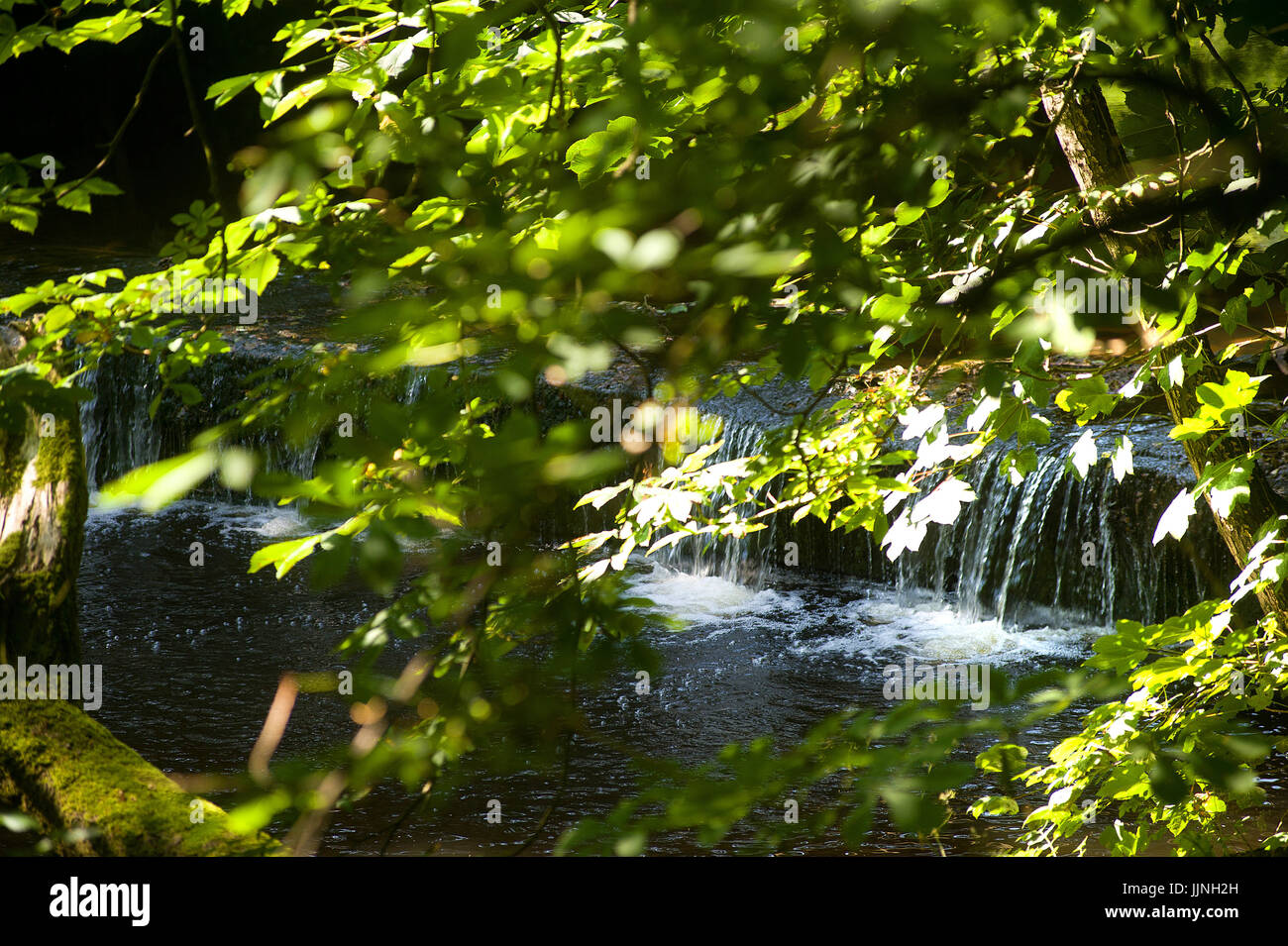 The River Wansbeck, Mitford, Northumberland Stock Photo - Alamy
