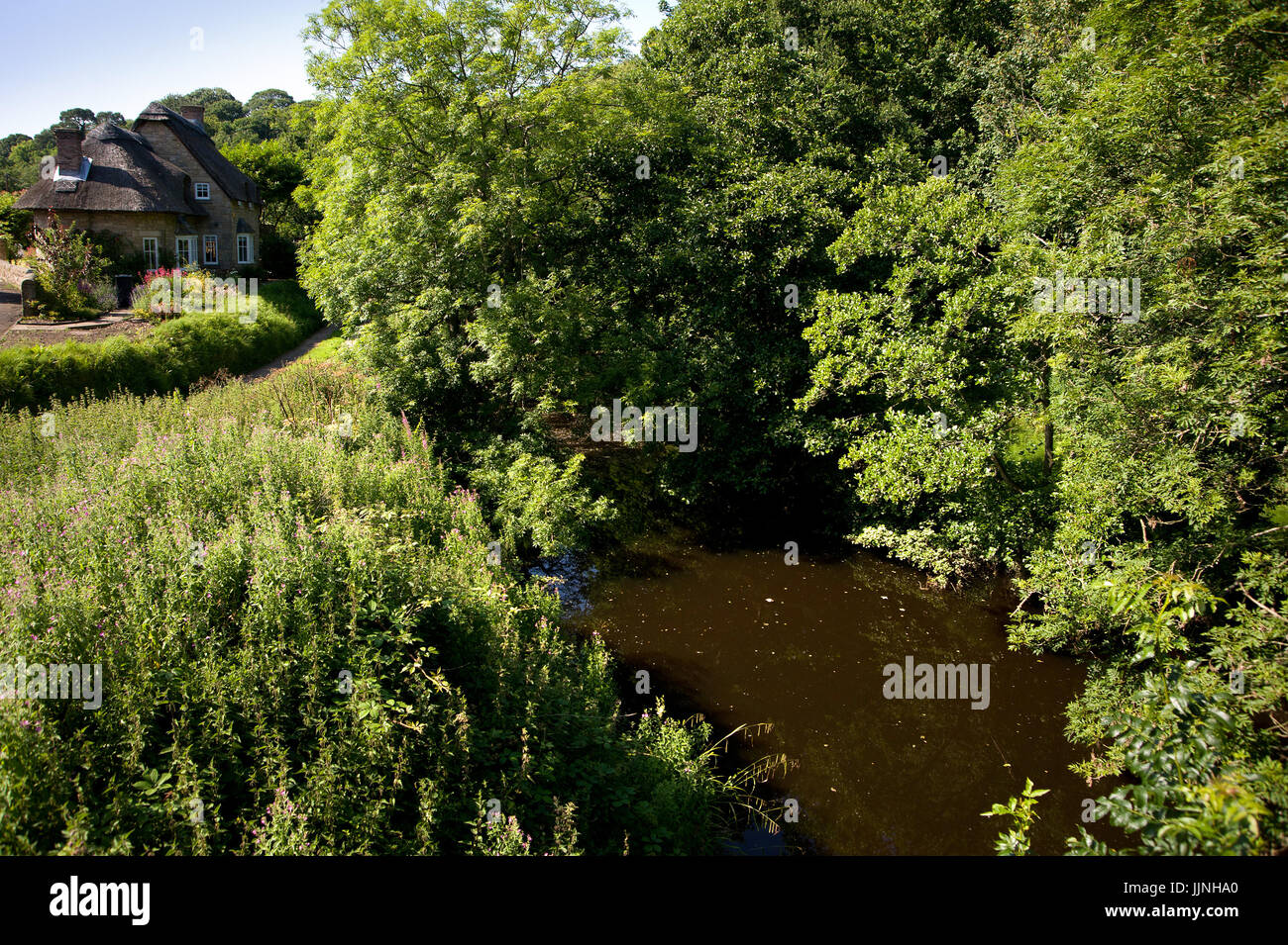 The River Wansbeck, Mitford, Northumberland Stock Photo - Alamy