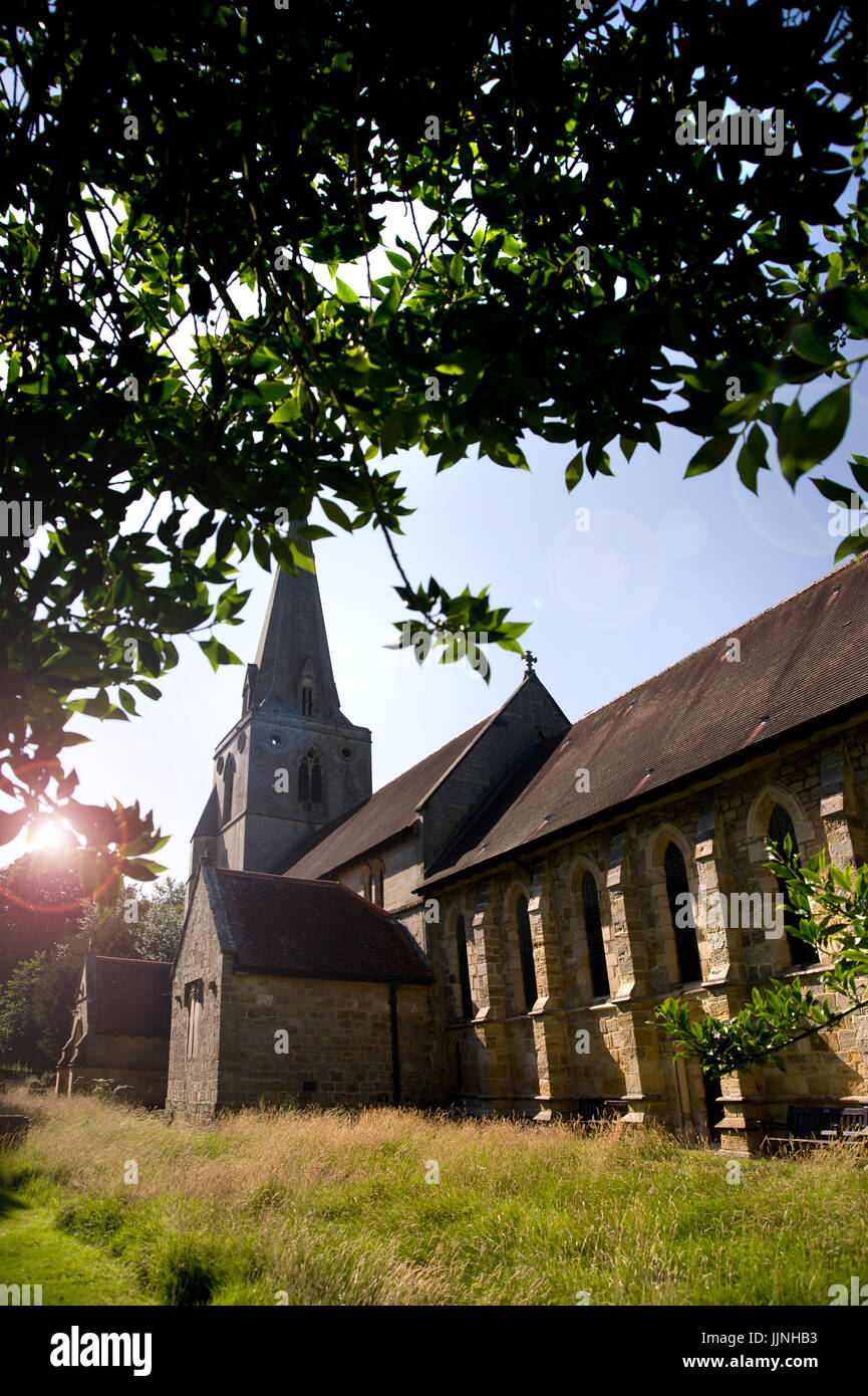 St Mary Magdalene church, Mitford, Northumberland Stock Photo - Alamy