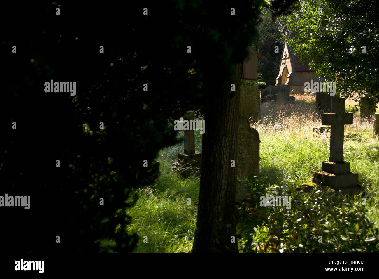 St Mary Magdalene church, Mitford, Northumberland Stock Photo - Alamy