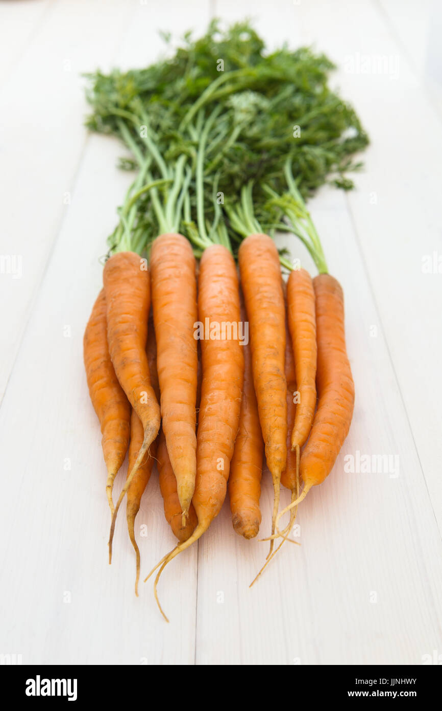 A bunch of muddy carrots with green leaves on a white wooden table ...