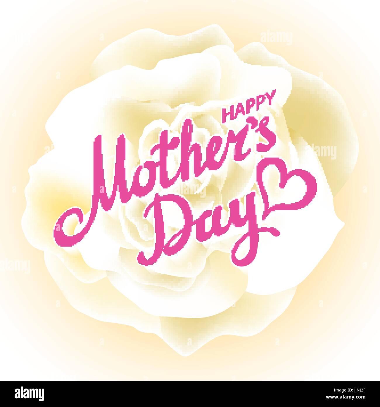 Happy Mothers Day Beautiful Blooming whire Rose Flowers on White ...