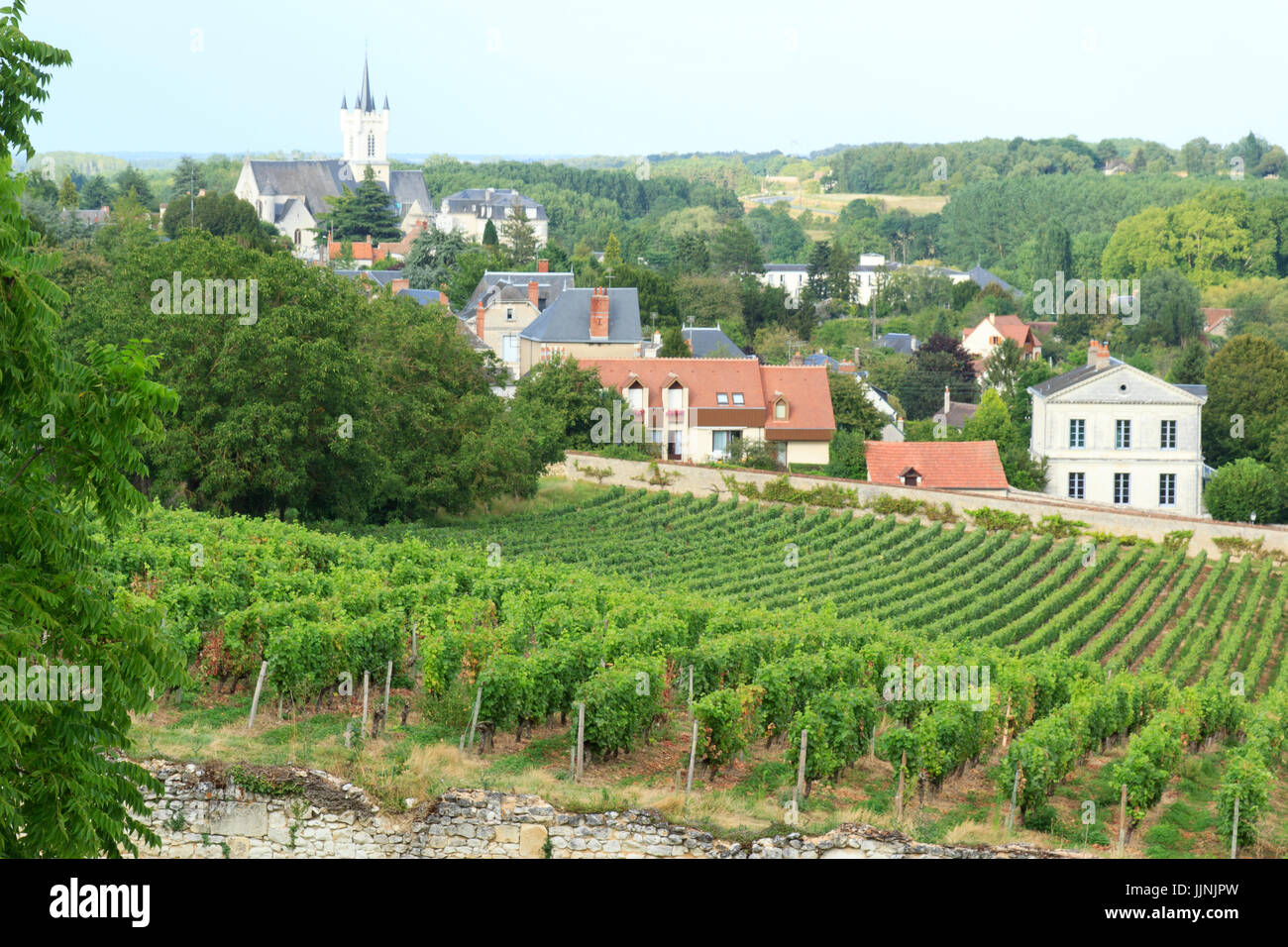Valençay vineyard hi-res stock photography and images - Alamy
