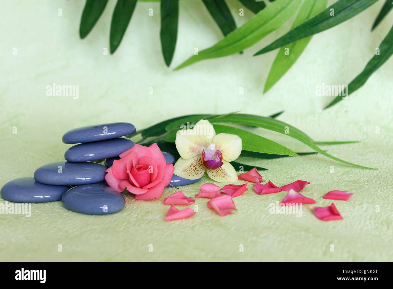 Zen Flower Wallpaper