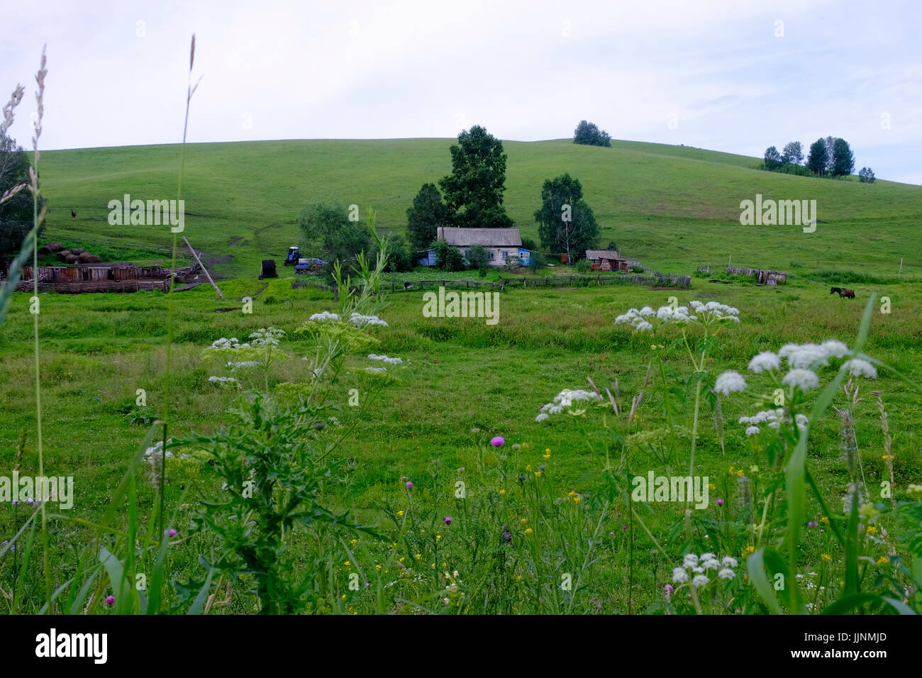 Woman farm house russia hi-res stock photography and images - Alamy
