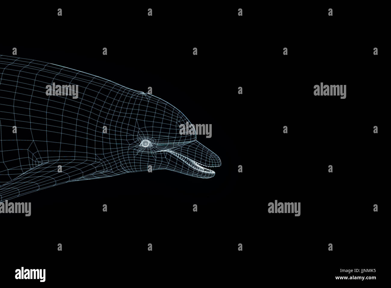 Dolphin in hologram wireframe hi-res stock photography and images - Alamy