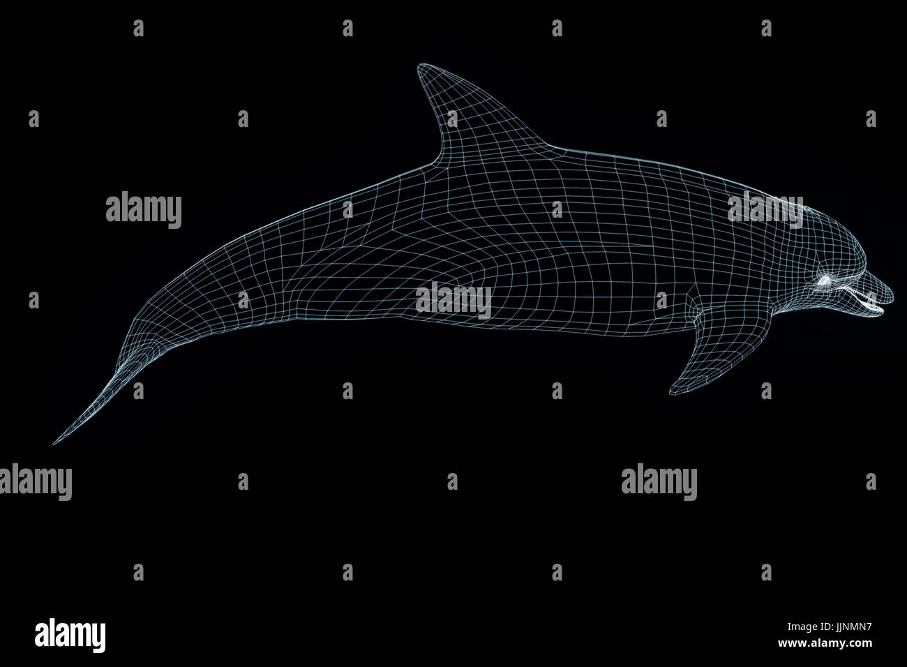 Dolphin in Hologram Wireframe Style. Nice 3D Rendering Stock Photo - Alamy