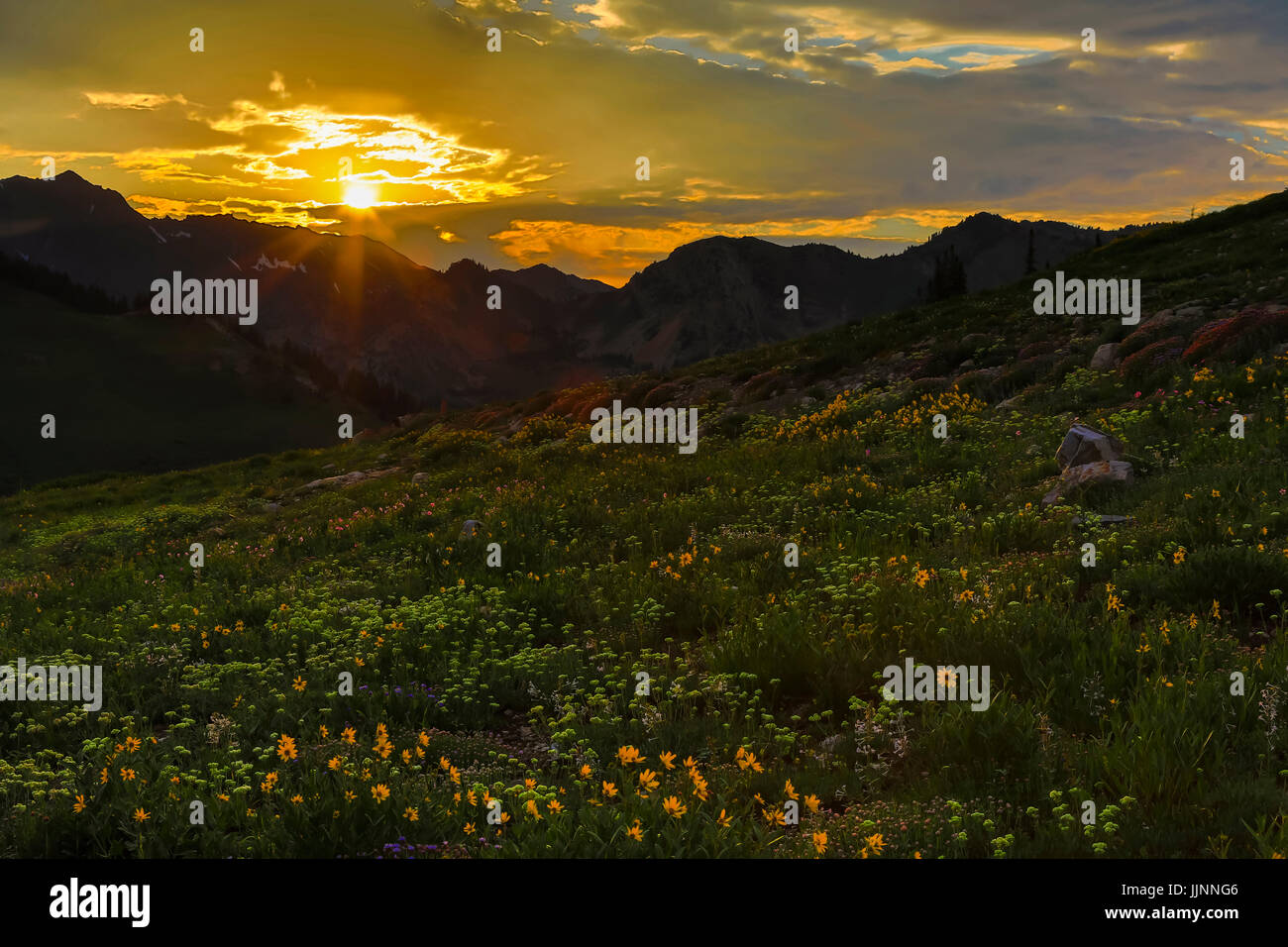 Wasatch mountains sunset utah hi-res stock photography and images - Alamy