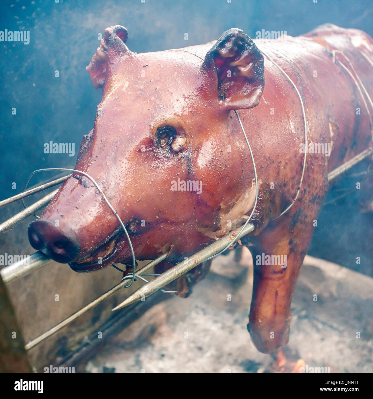 Whole pig roasting at open fire Stock Photo - Alamy