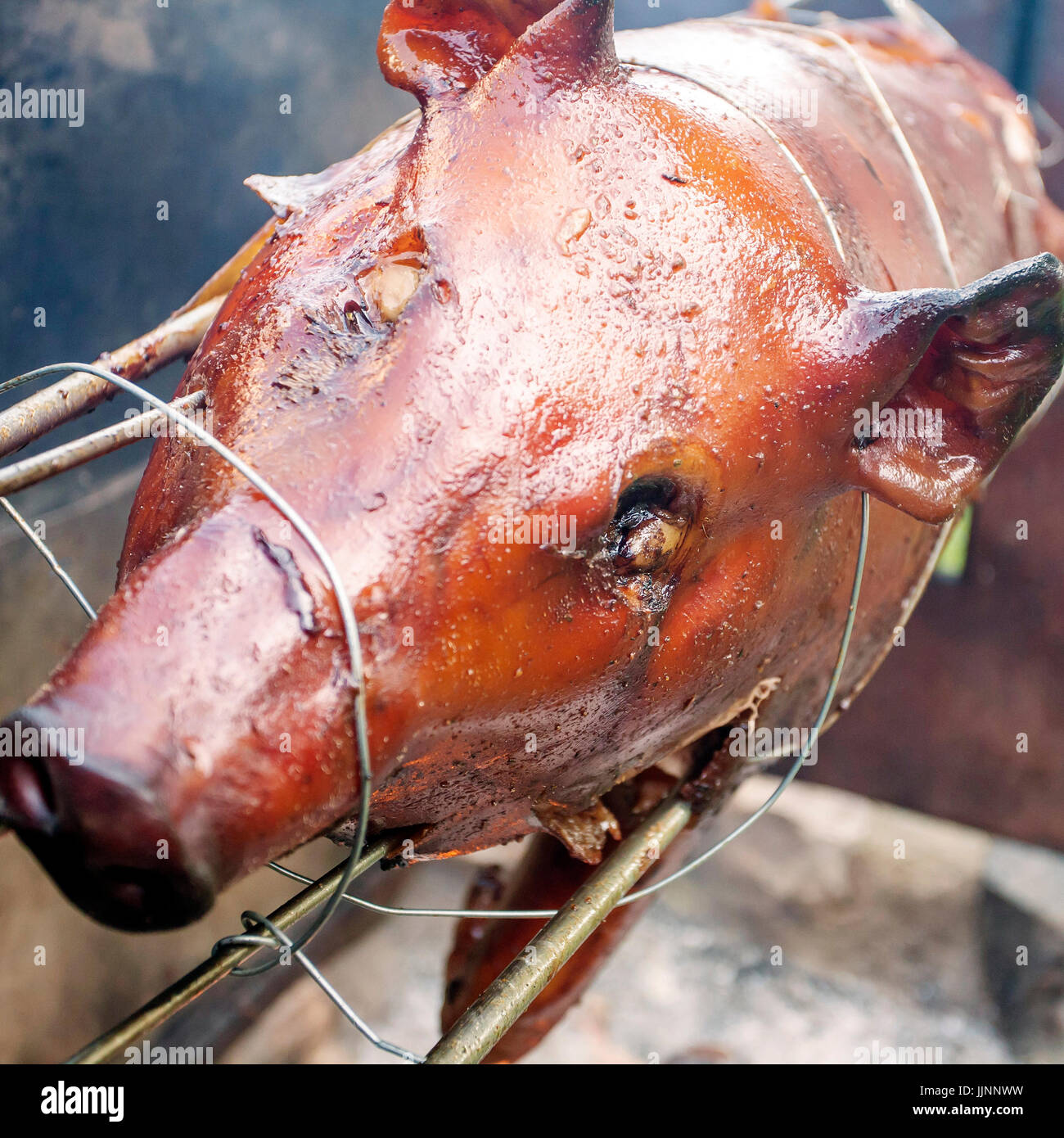 Whole pig roasting at open fire Stock Photo - Alamy