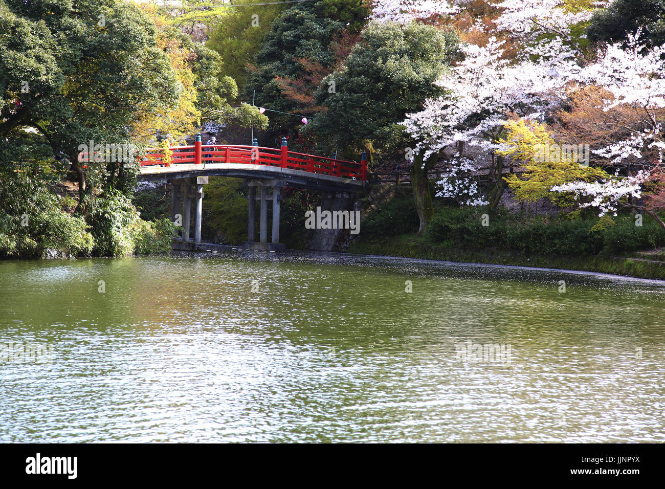 Matsukawa park hi-res stock photography and images - Alamy