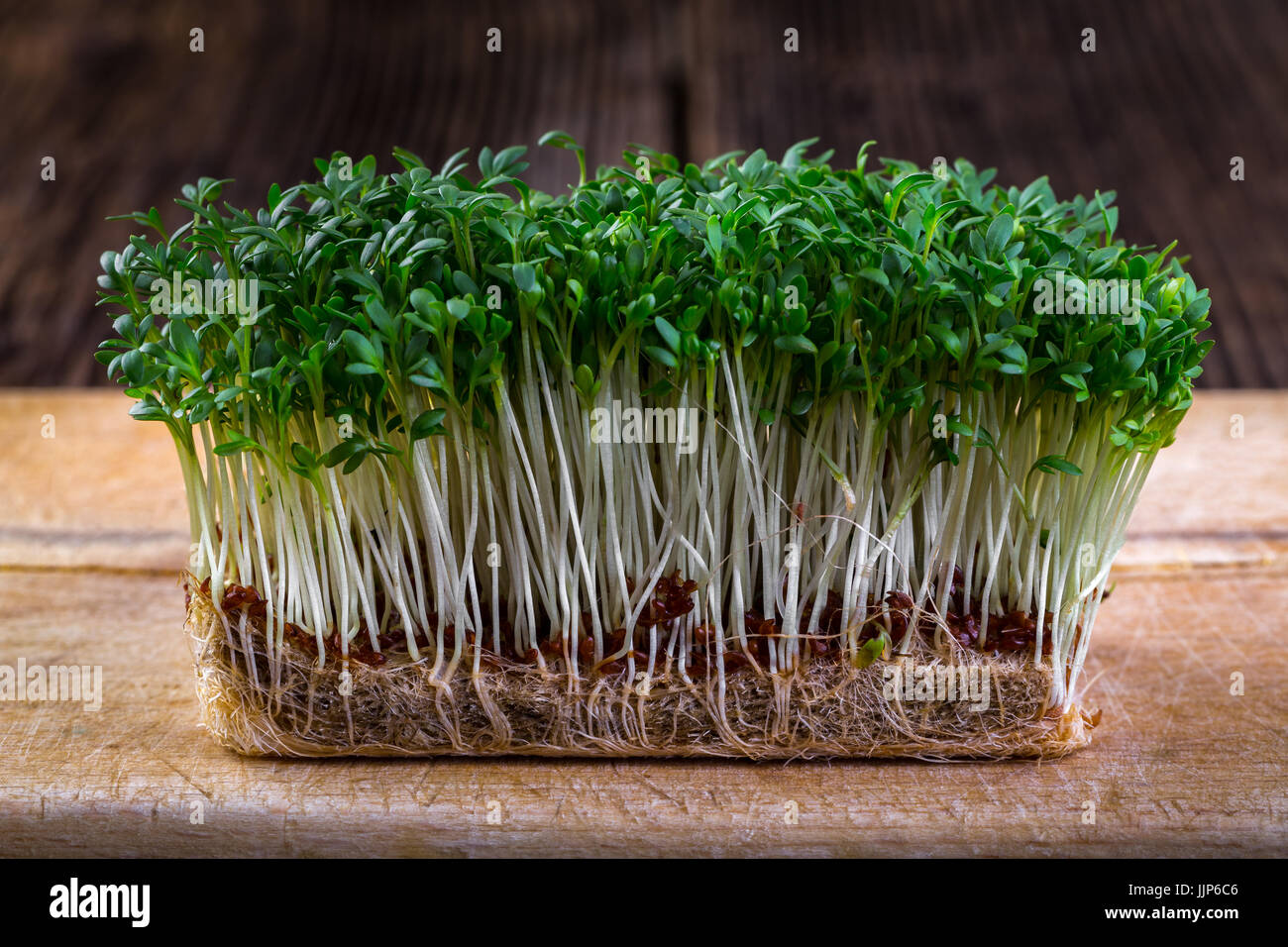 Fresh cress sprouting ready for salad. Healthy vegetarian food.Fresh ...