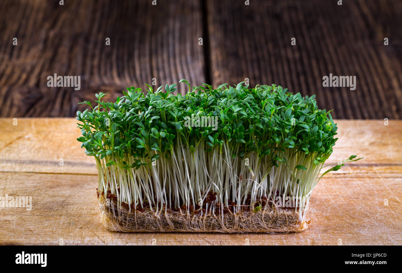 Fresh cress sprouting ready for salad. Healthy vegetarian food.Fresh ...