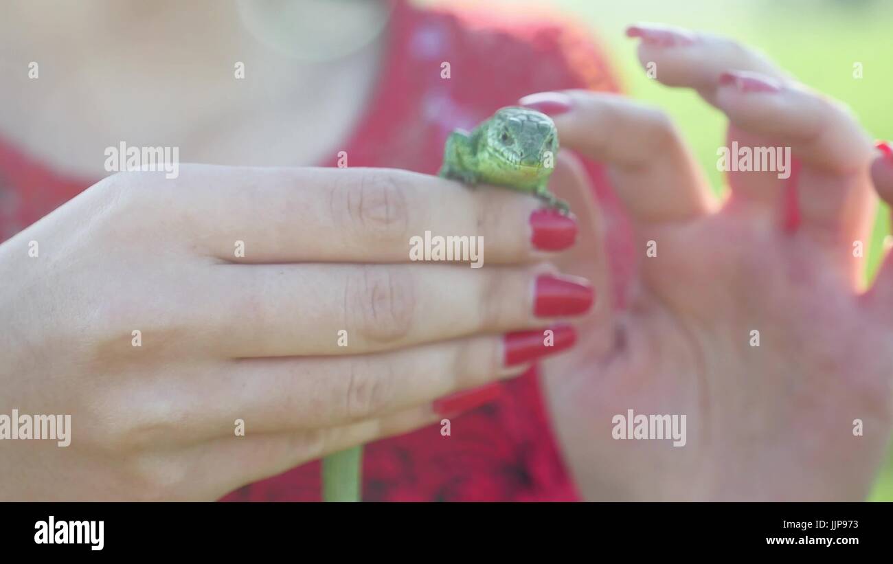 The girl is holding a lizard. Girl in nature holds a green lifestyle ...
