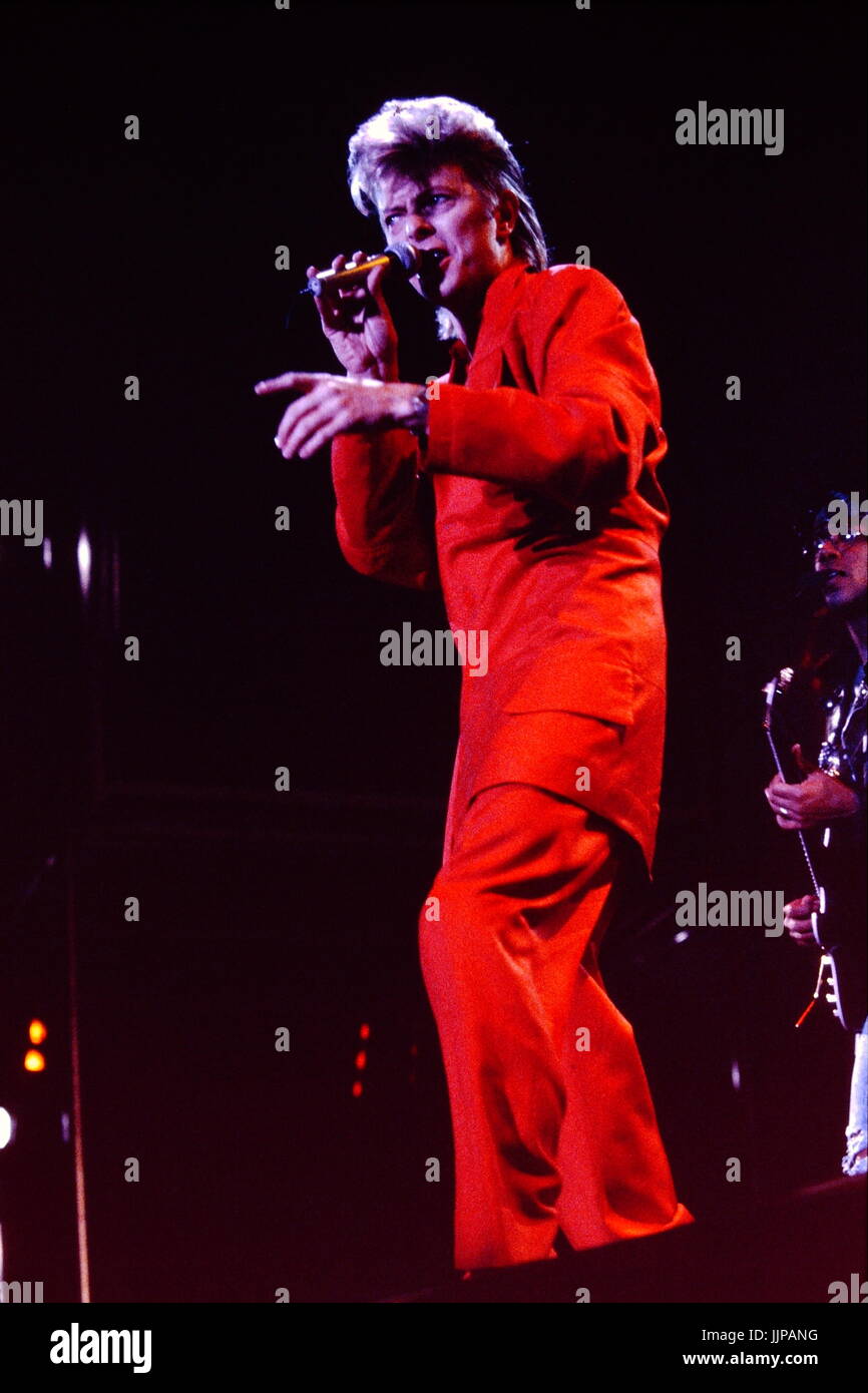 American rock star David Bowie performs in Lyon (France Stock Photo - Alamy
