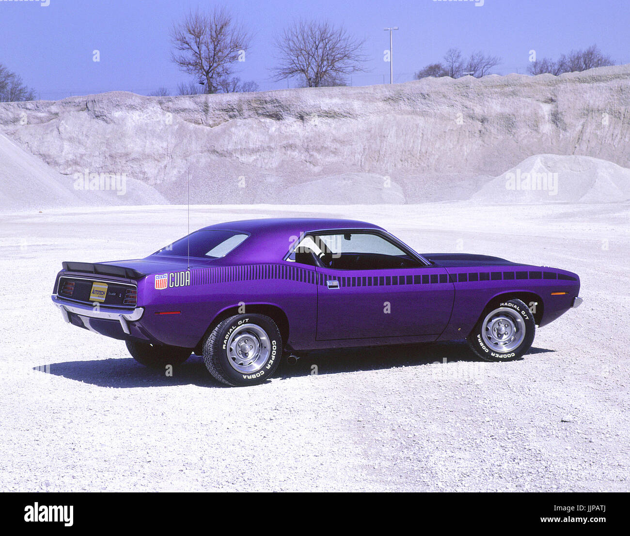 Aar cuda hi-res stock photography and images - Alamy