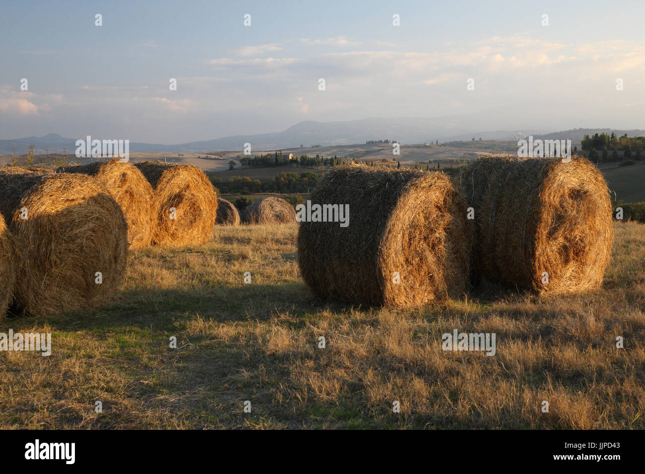 Hay bales on the hills of Tuscany - Strada di Leonina, Asciano - Siena ...