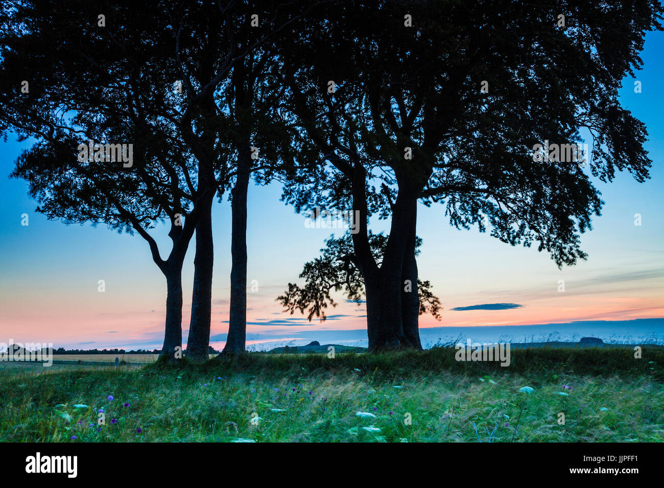 Sunrise from Olivers Castle on Roundway Hill near Devizes in Wiltshire ...