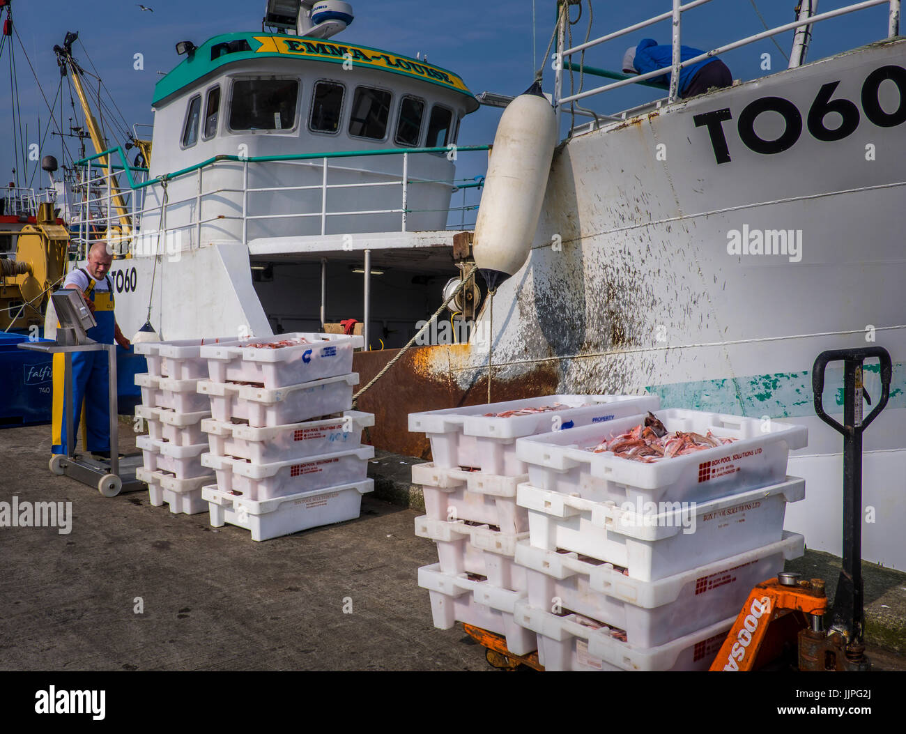 Bait hi-res stock photography and images - Alamy