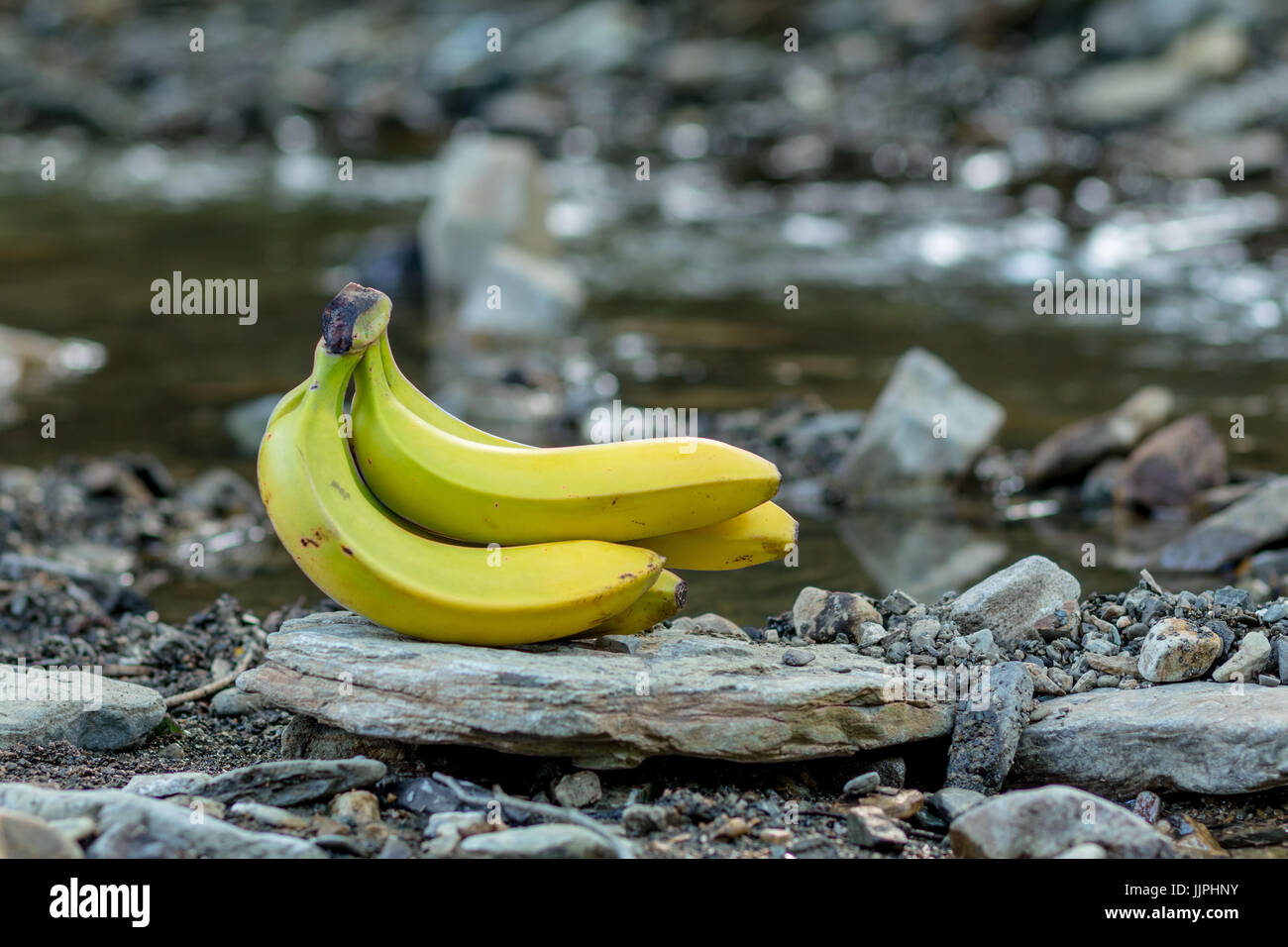 Bananas on a rock with water in background Stock Photo - Alamy