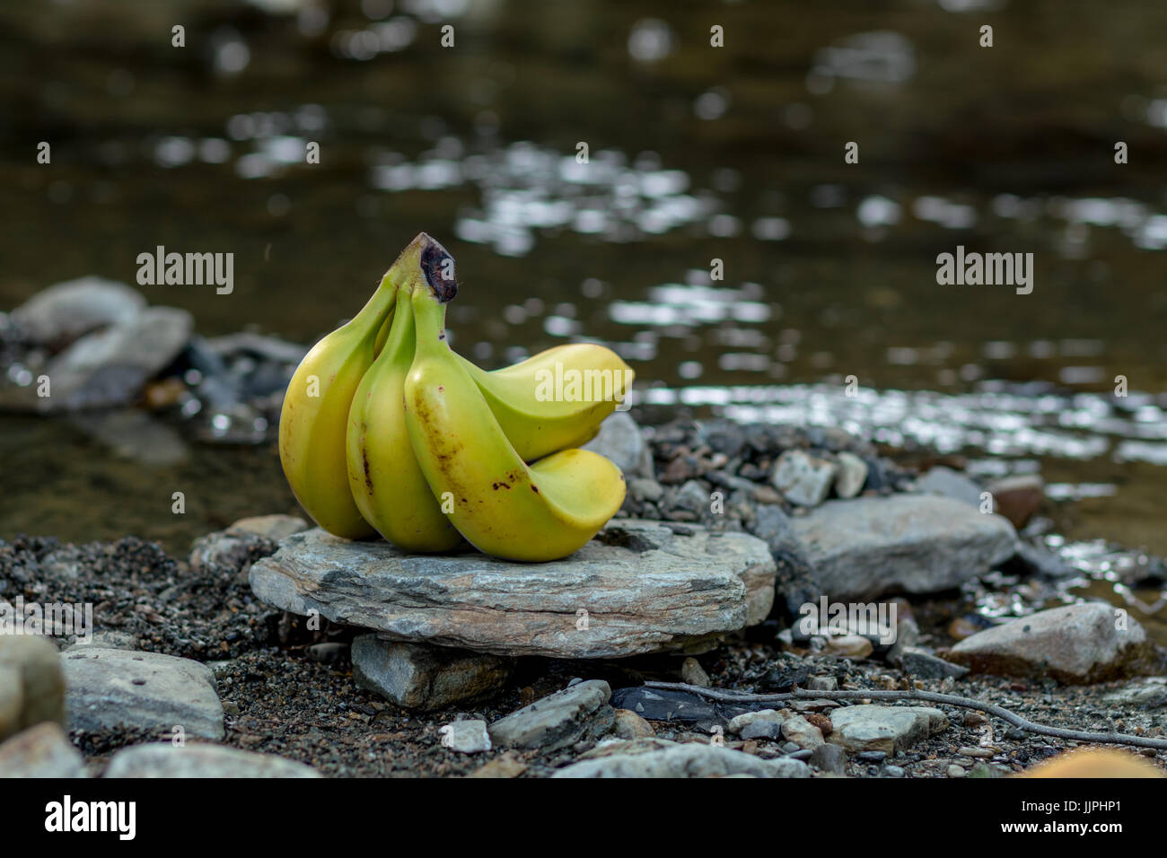 Bananas on a rock with water in background Stock Photo - Alamy