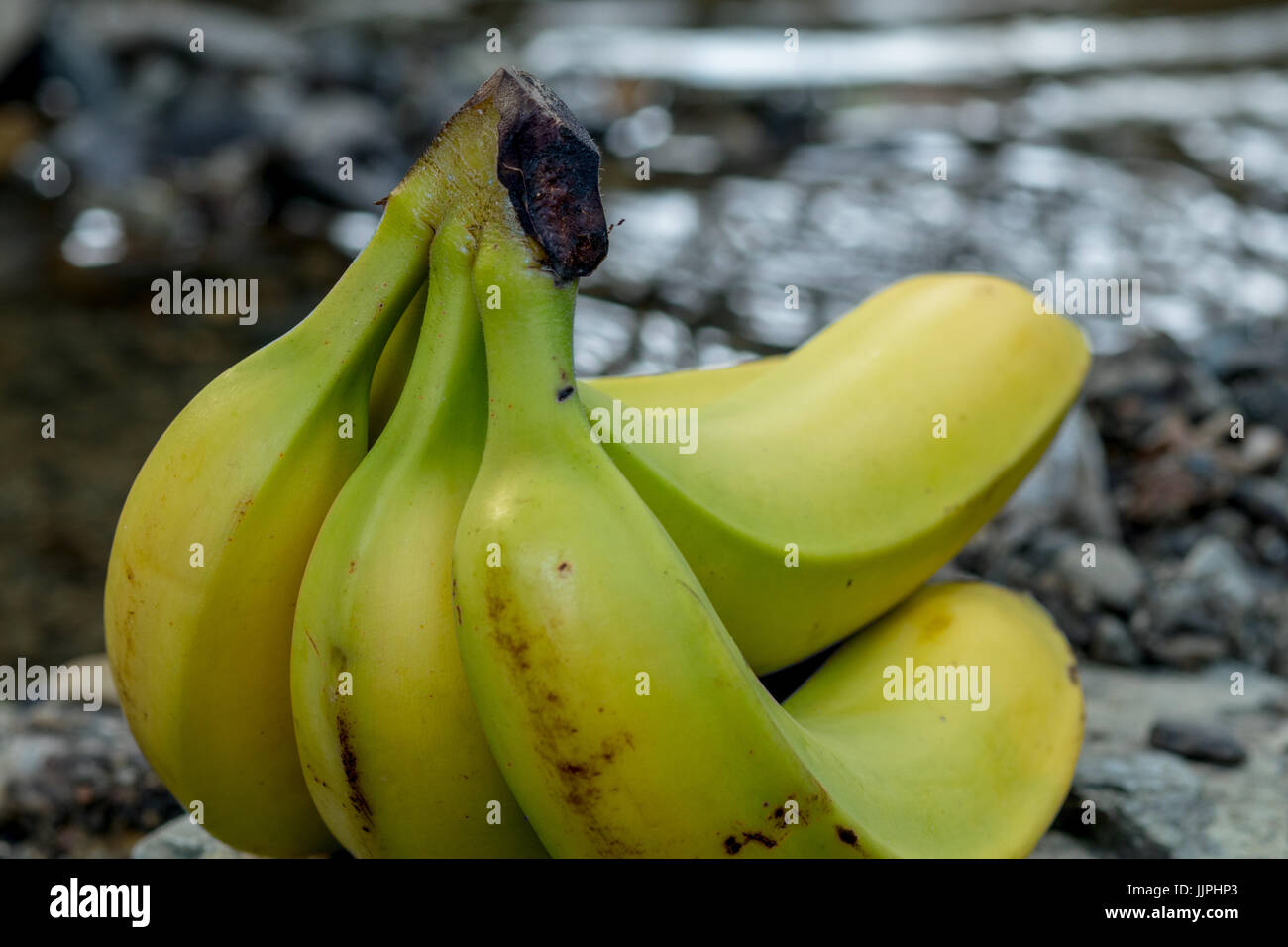 Bananas on a rock with water in background Stock Photo - Alamy