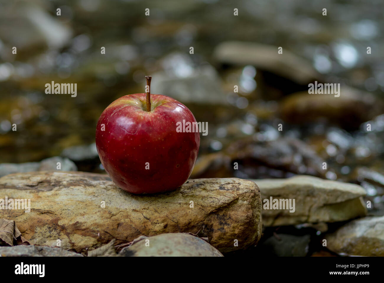 Red apple on a rock in nature Stock Photo - Alamy
