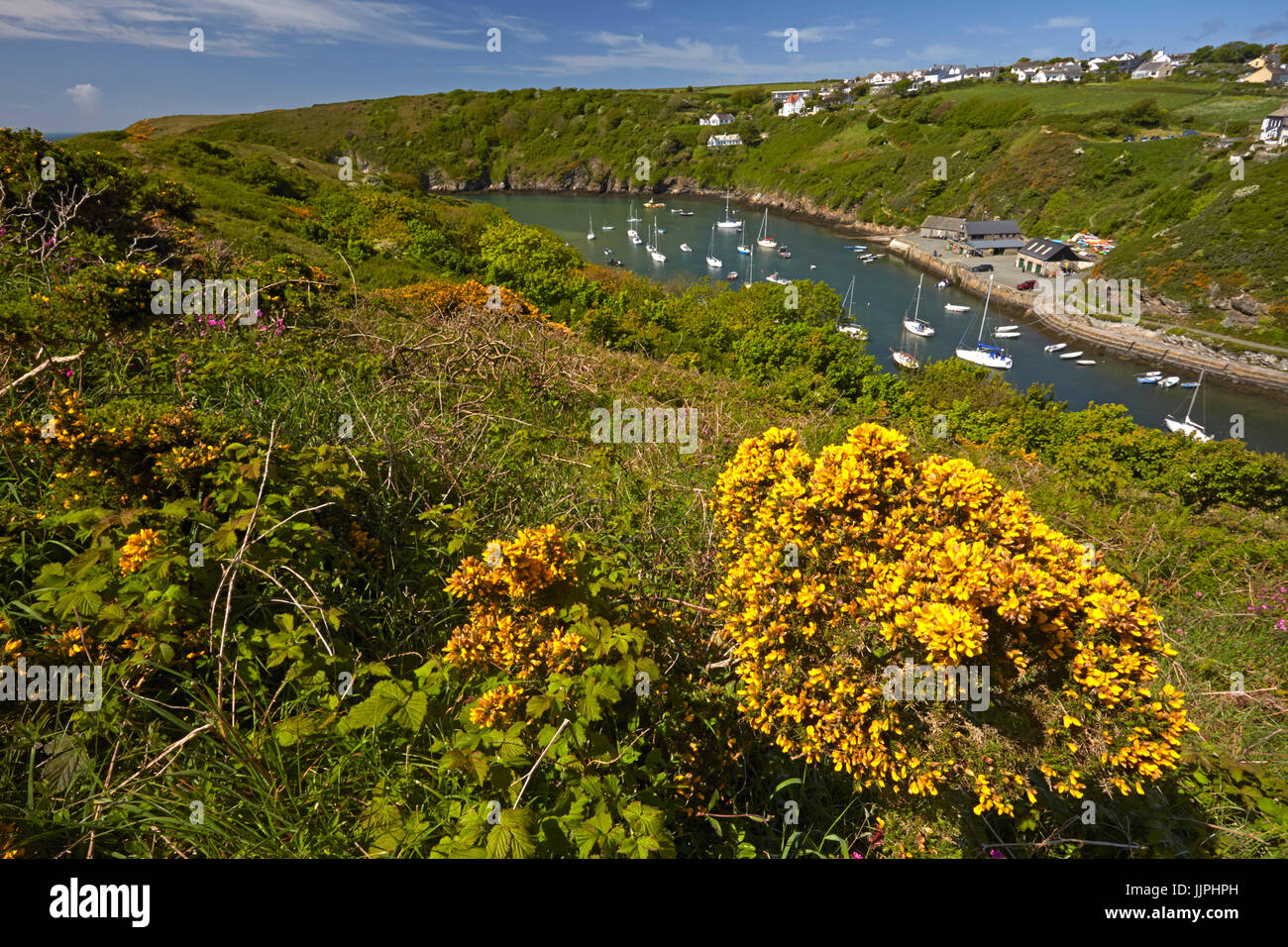 A view of Solva harbour from the Gribbin Stock Photo - Alamy