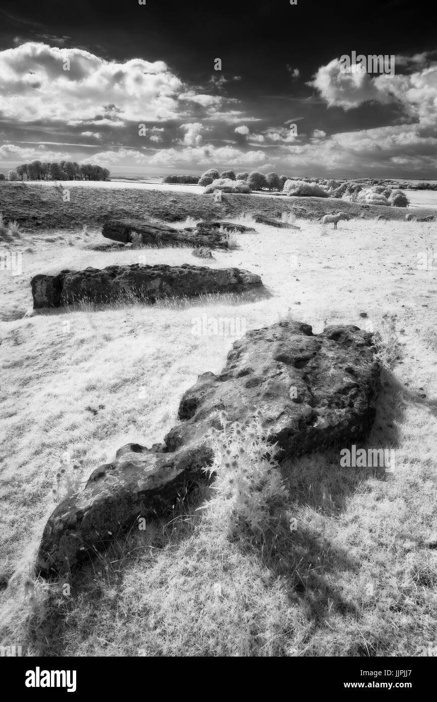 Arbor scene Black and White Stock Photos & Images - Alamy