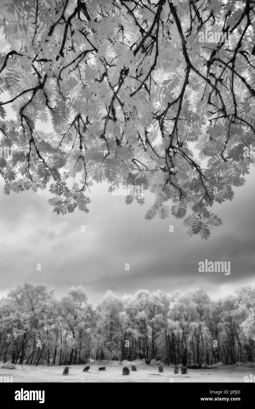 Nine Ladies Stone Circle in Derbyshire Stock Photo - Alamy