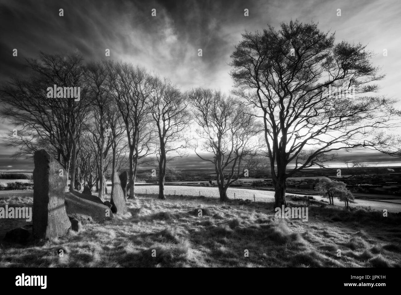 Tyrebagger stone circle hi-res stock photography and images - Alamy