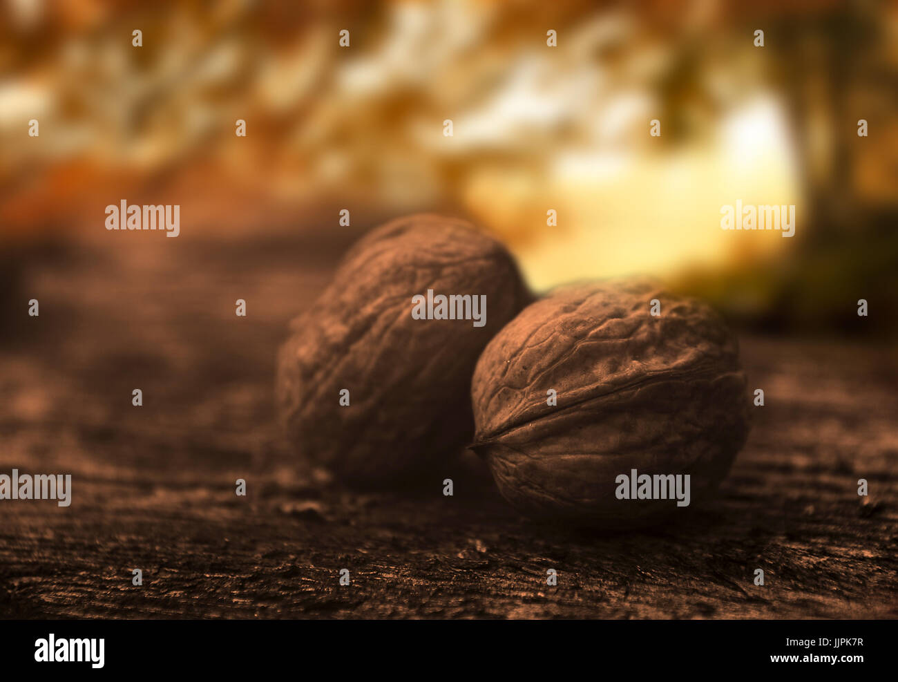 Group of walnuts at autumn Stock Photo - Alamy