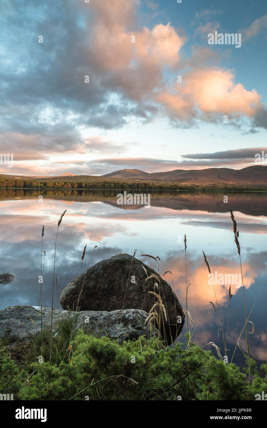 Loch Garten in the Cairngorms National Park Stock Photo - Alamy