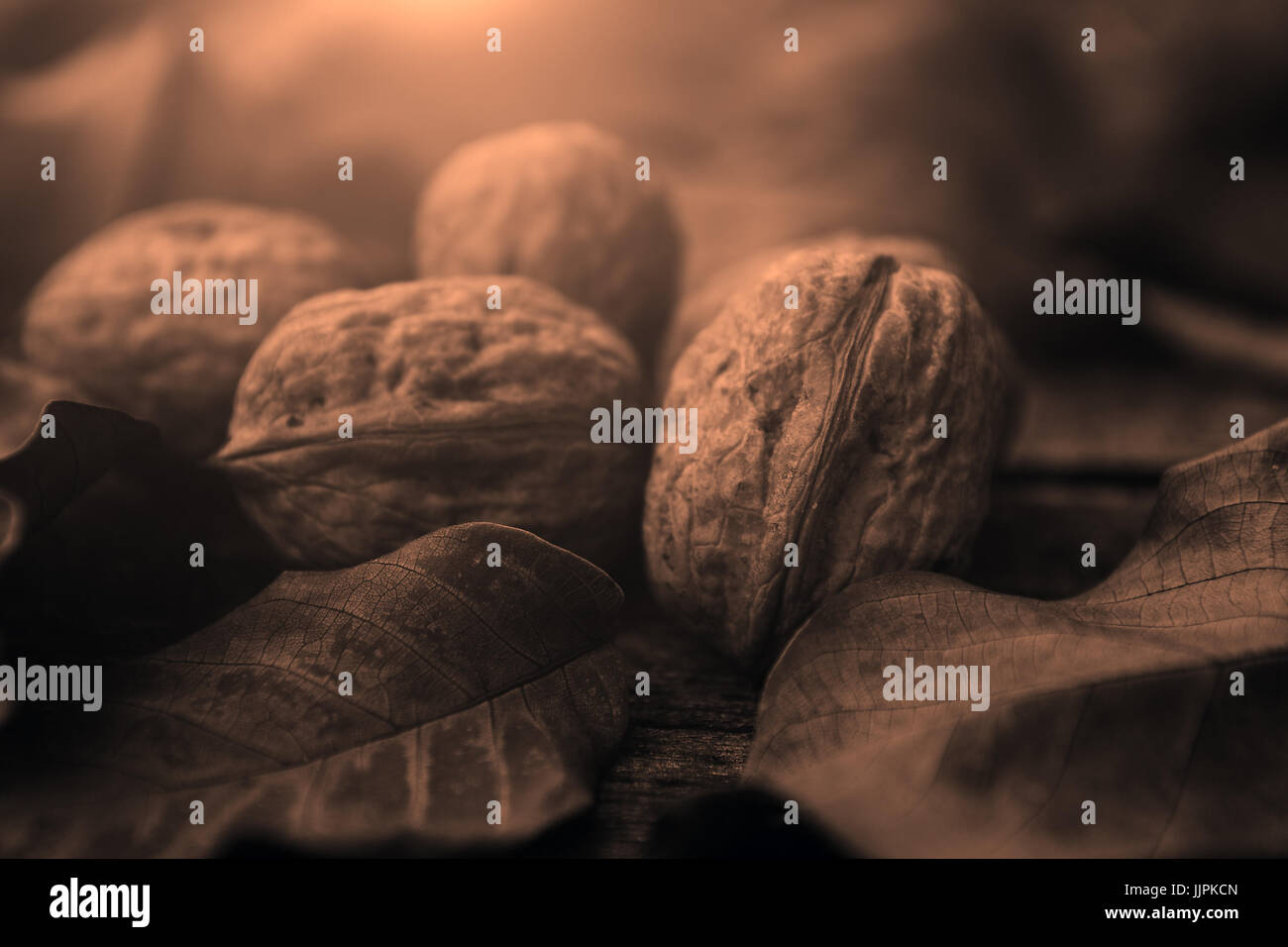 Group of walnuts at autumn Stock Photo - Alamy