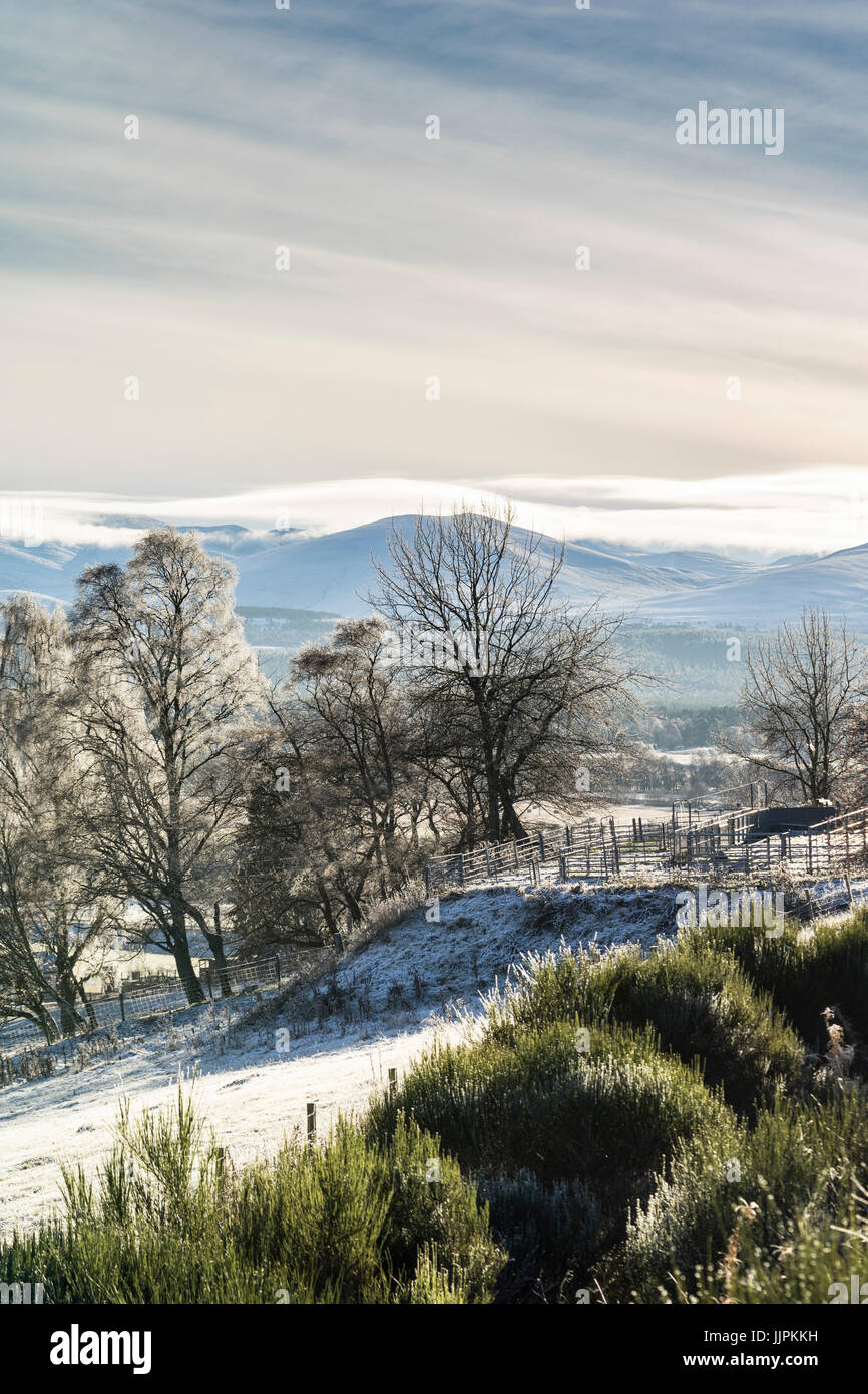 Abernethy scotland hi-res stock photography and images - Alamy