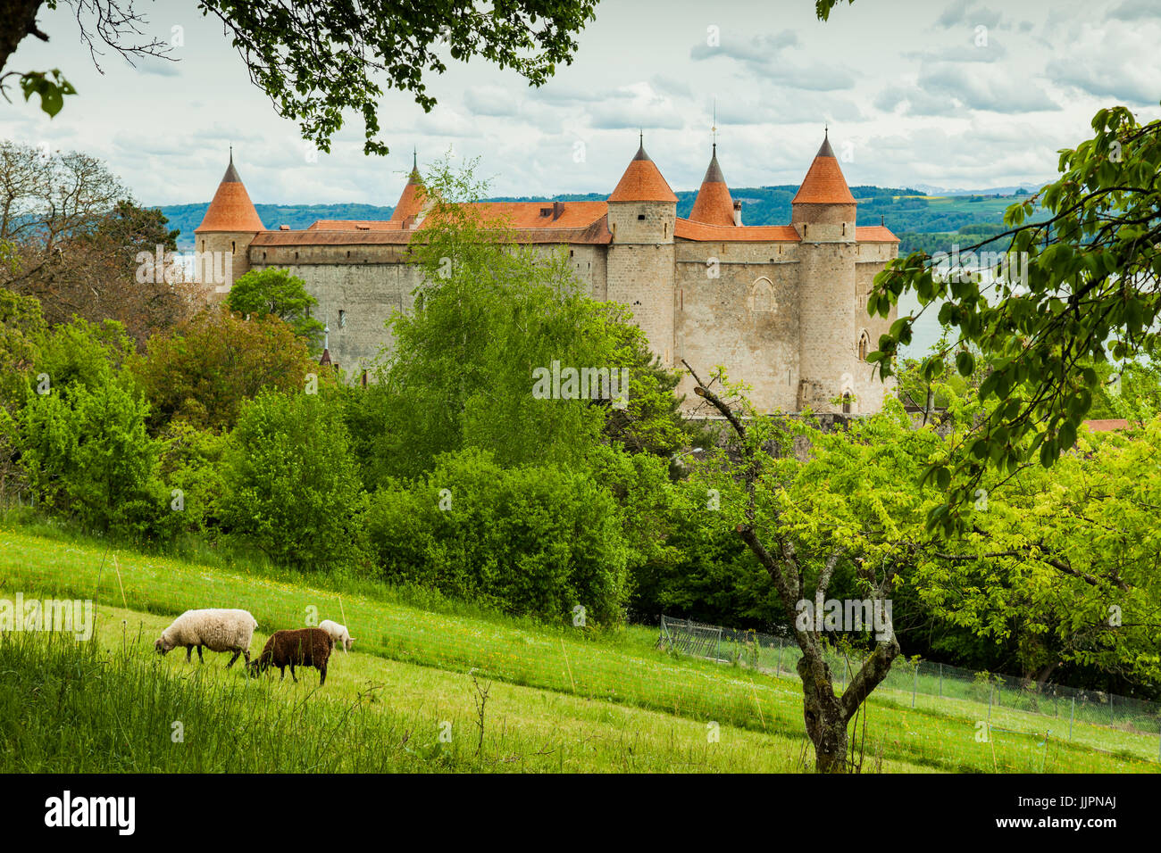 Grandson Castle in the canton of Vaud Stock Photo - Alamy