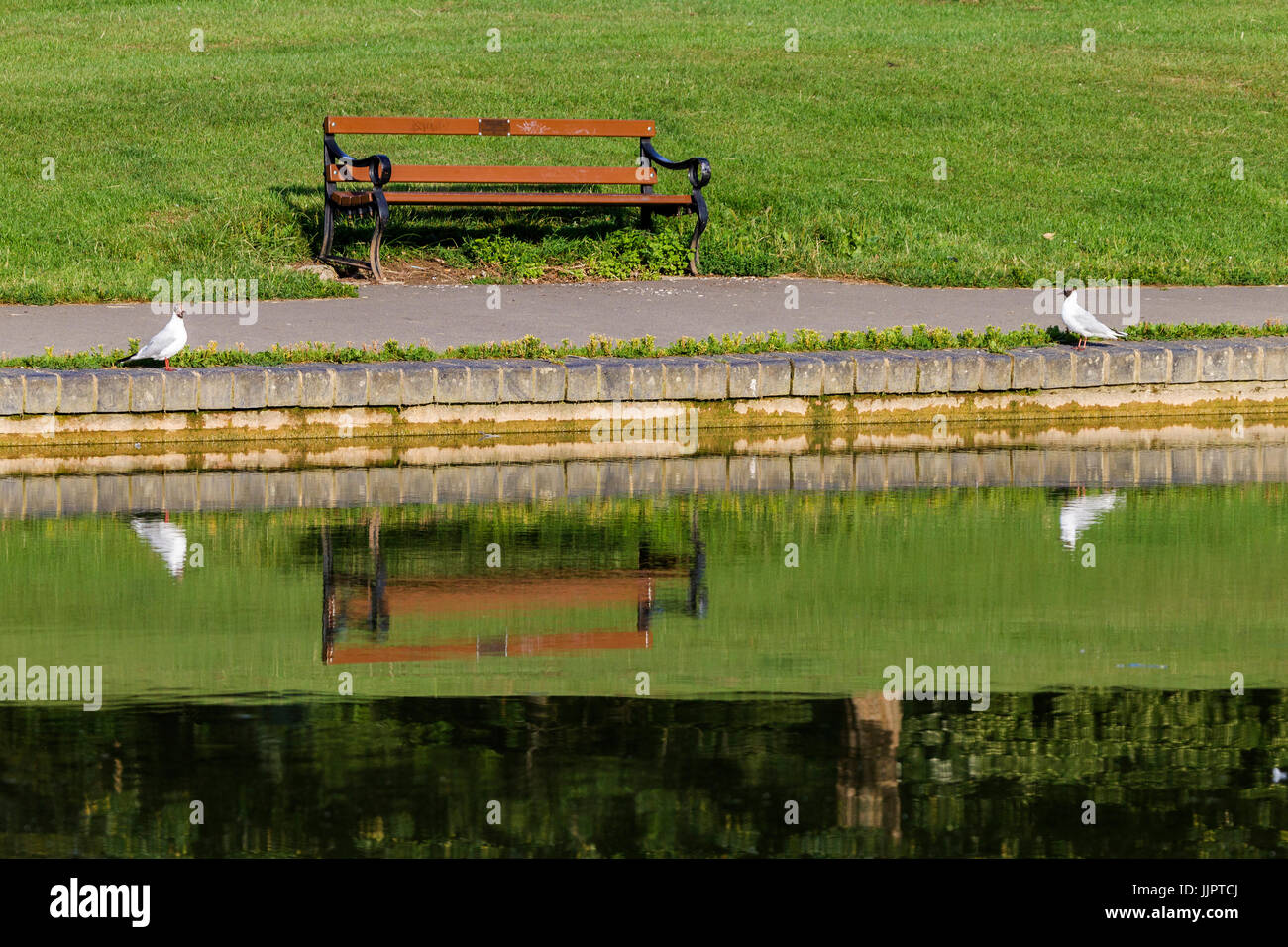 Bench by the Boating lake, Abington Park, Northampton Stock Photo - Alamy