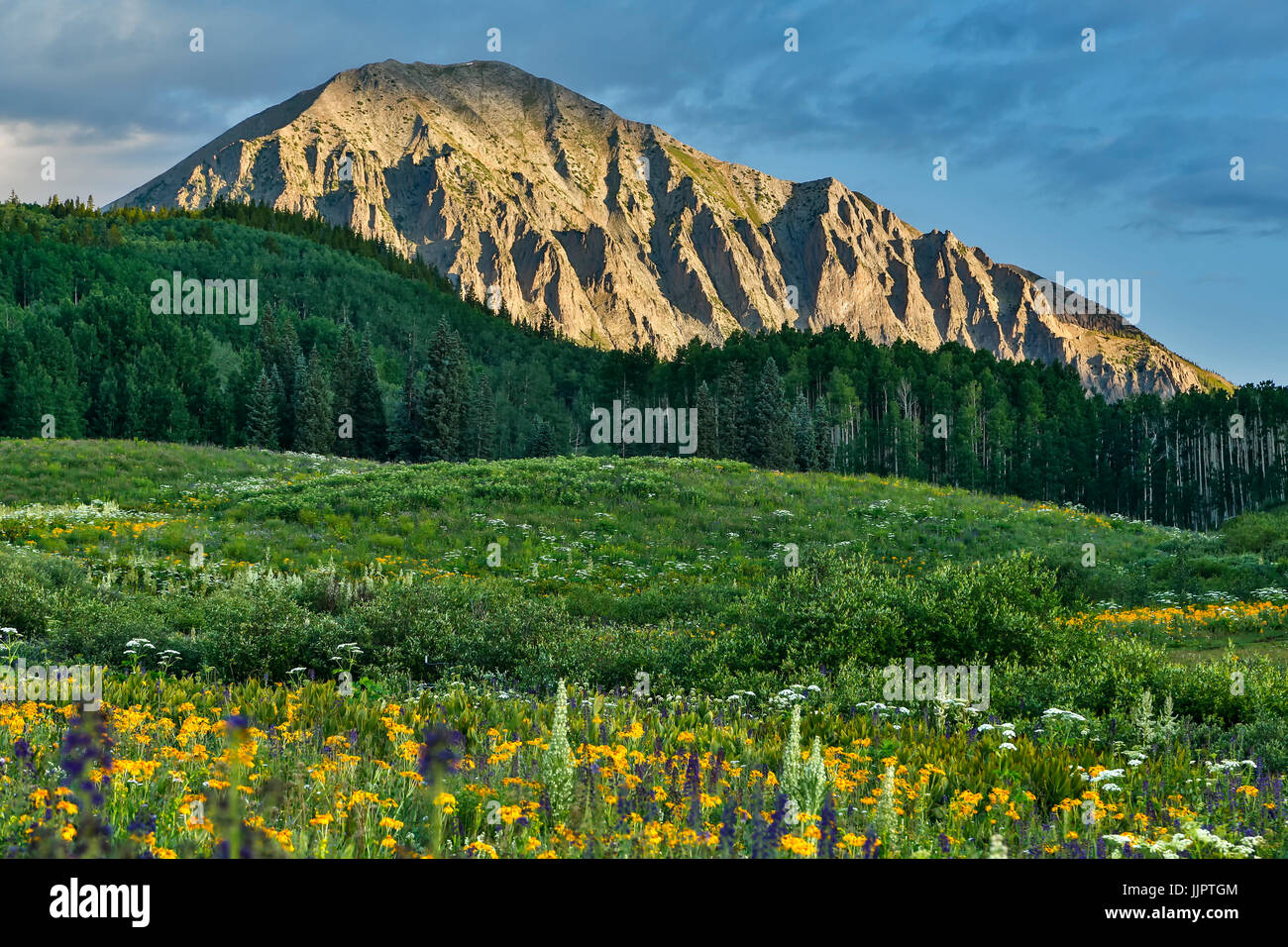 Gothic Mountain Colorado _ Where Is Gothic Mountain – ZCGK