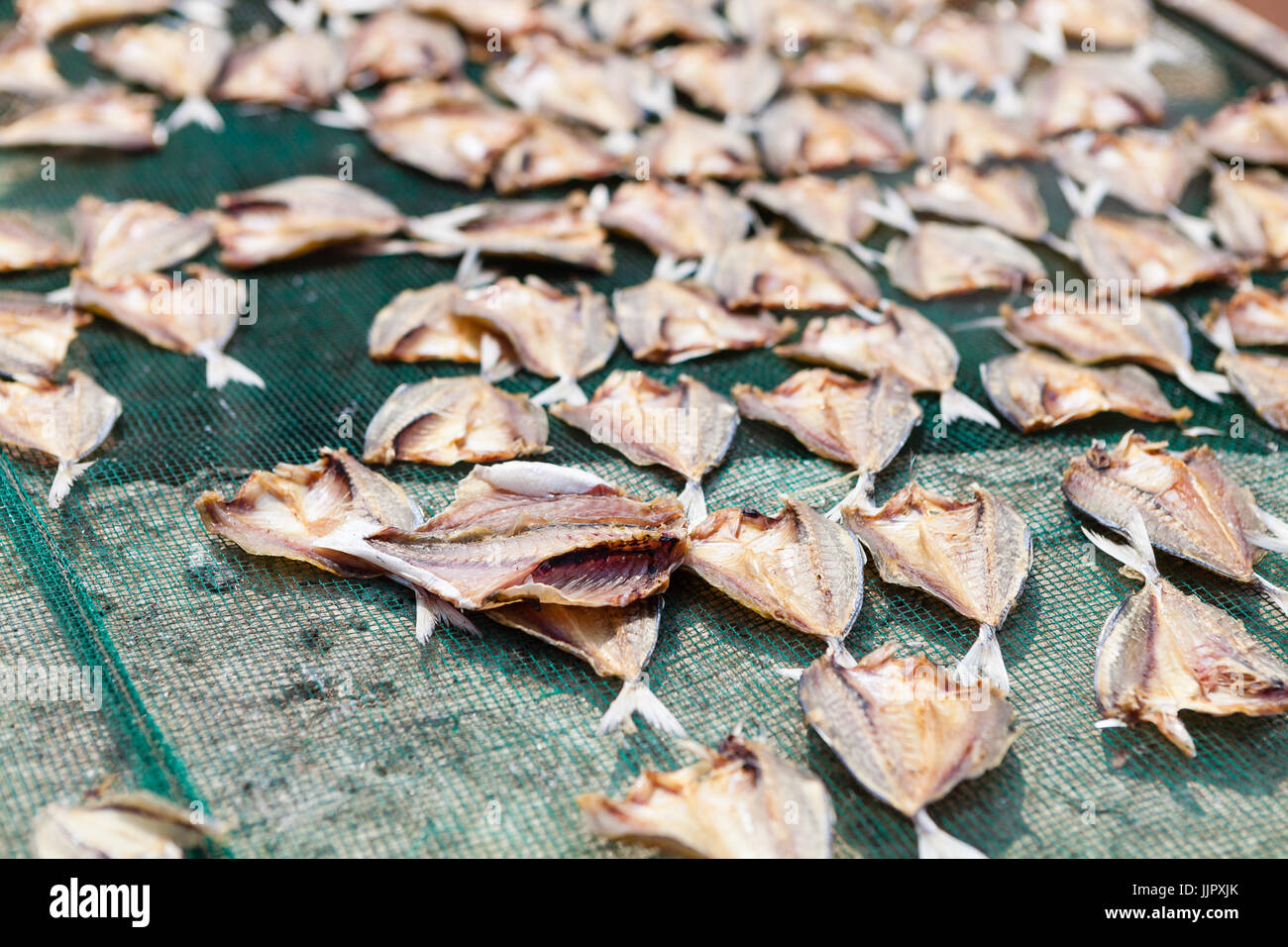 Dry fish on the net Stock Photo - Alamy