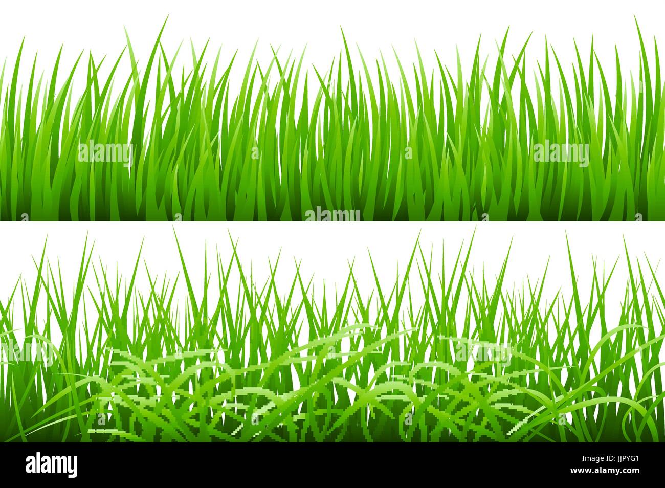2 Backgrounds Of Green Grass, Isolated On White Background, Vector ...