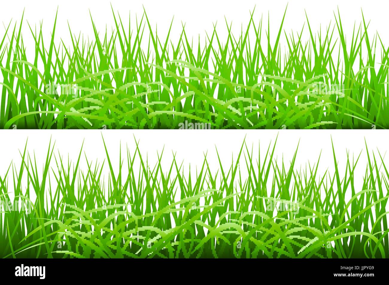 2 Backgrounds Of Green Grass, Isolated On White Background, Vector ...