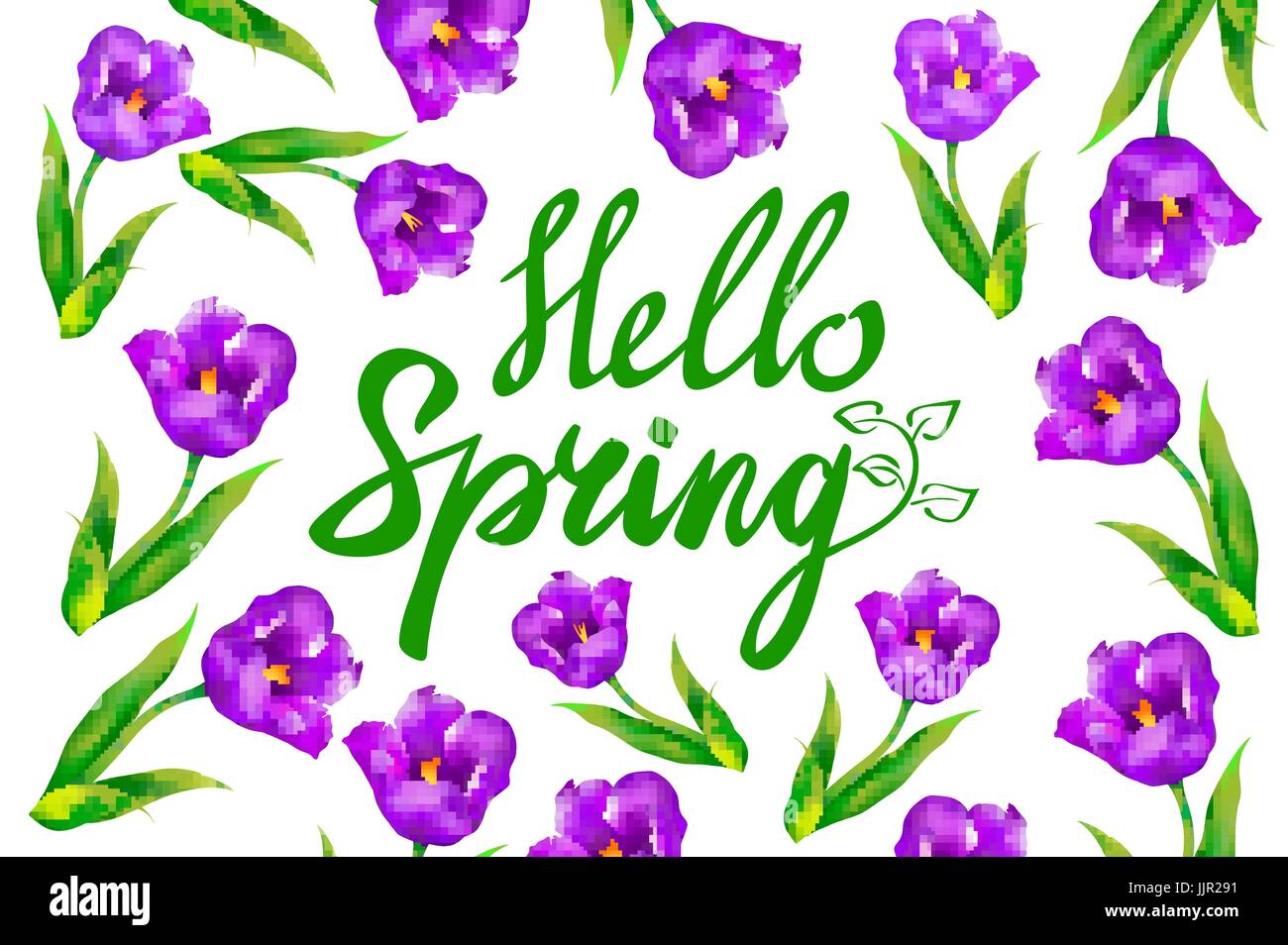 Hello Spring text with violet tulip flowers and butterflies art Stock ...