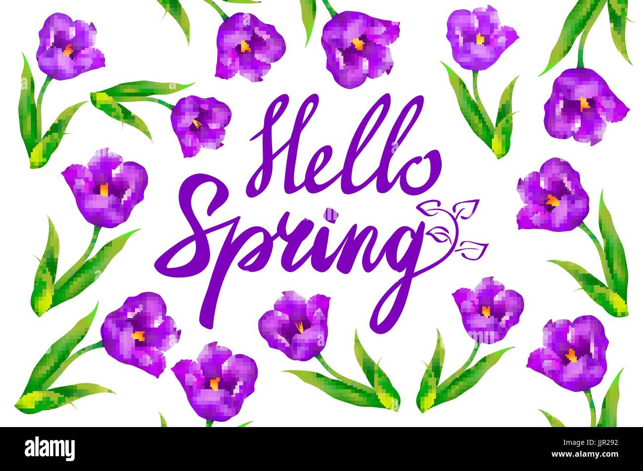 Hello Spring text with violet tulip flowers and butterflies art Stock ...