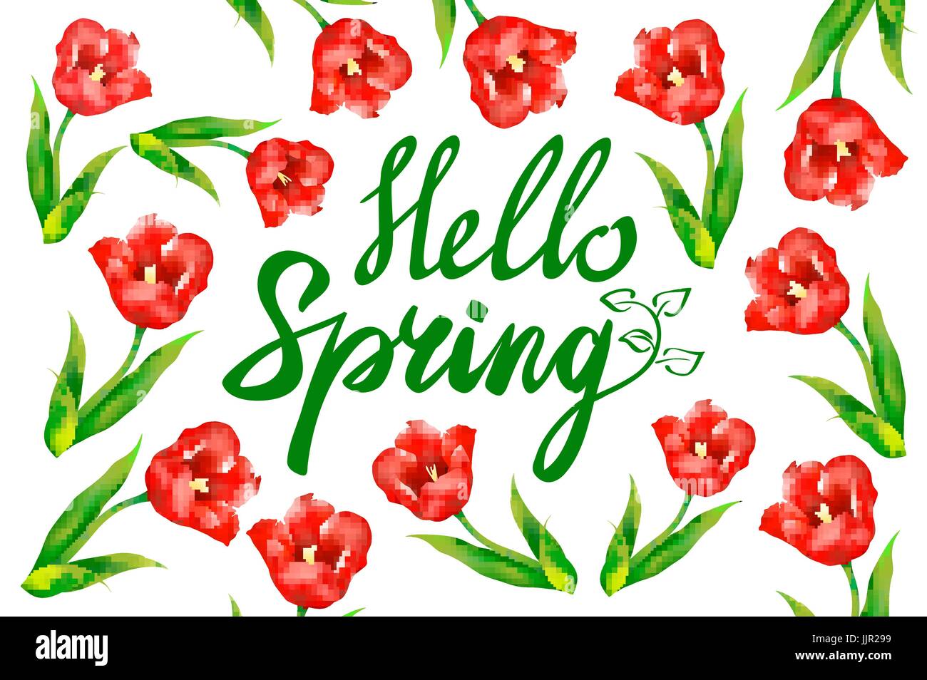 Hello Spring phrase vector lettering. Hand drawn calligraphy, white ...