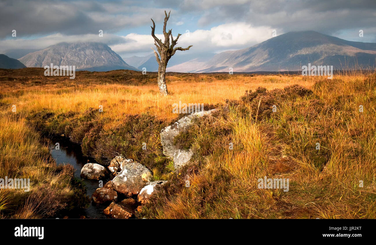 On Rannoch Moor Stock Photo - Alamy
