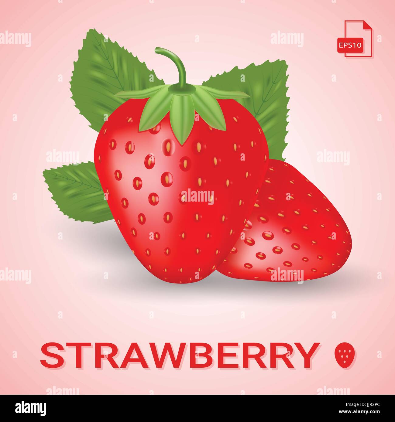 Strawberry seeds up close Stock Vector Images - Alamy