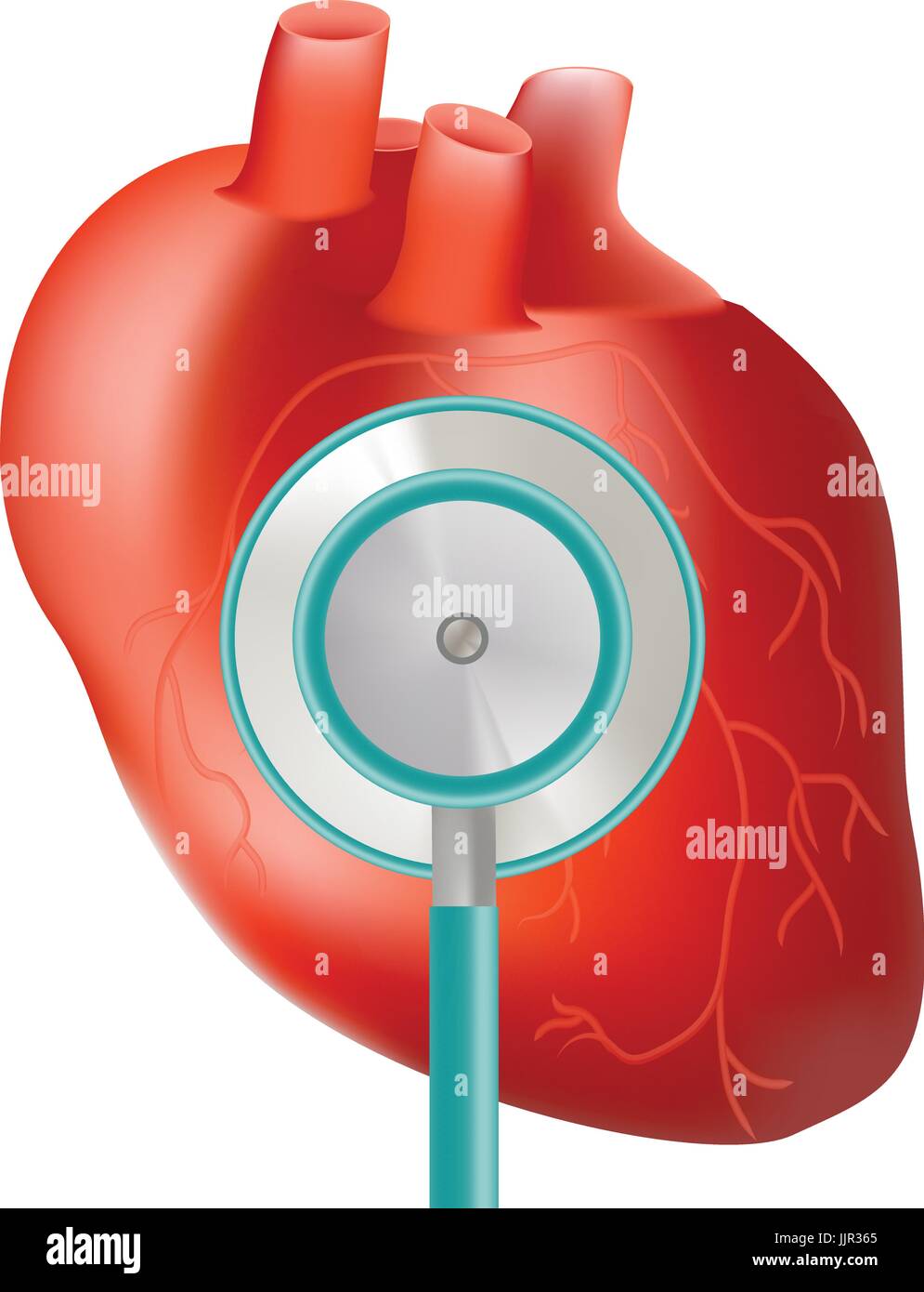 Healthy Heart With Stethoscope Use For Heart Medical Topic Isolated On ...