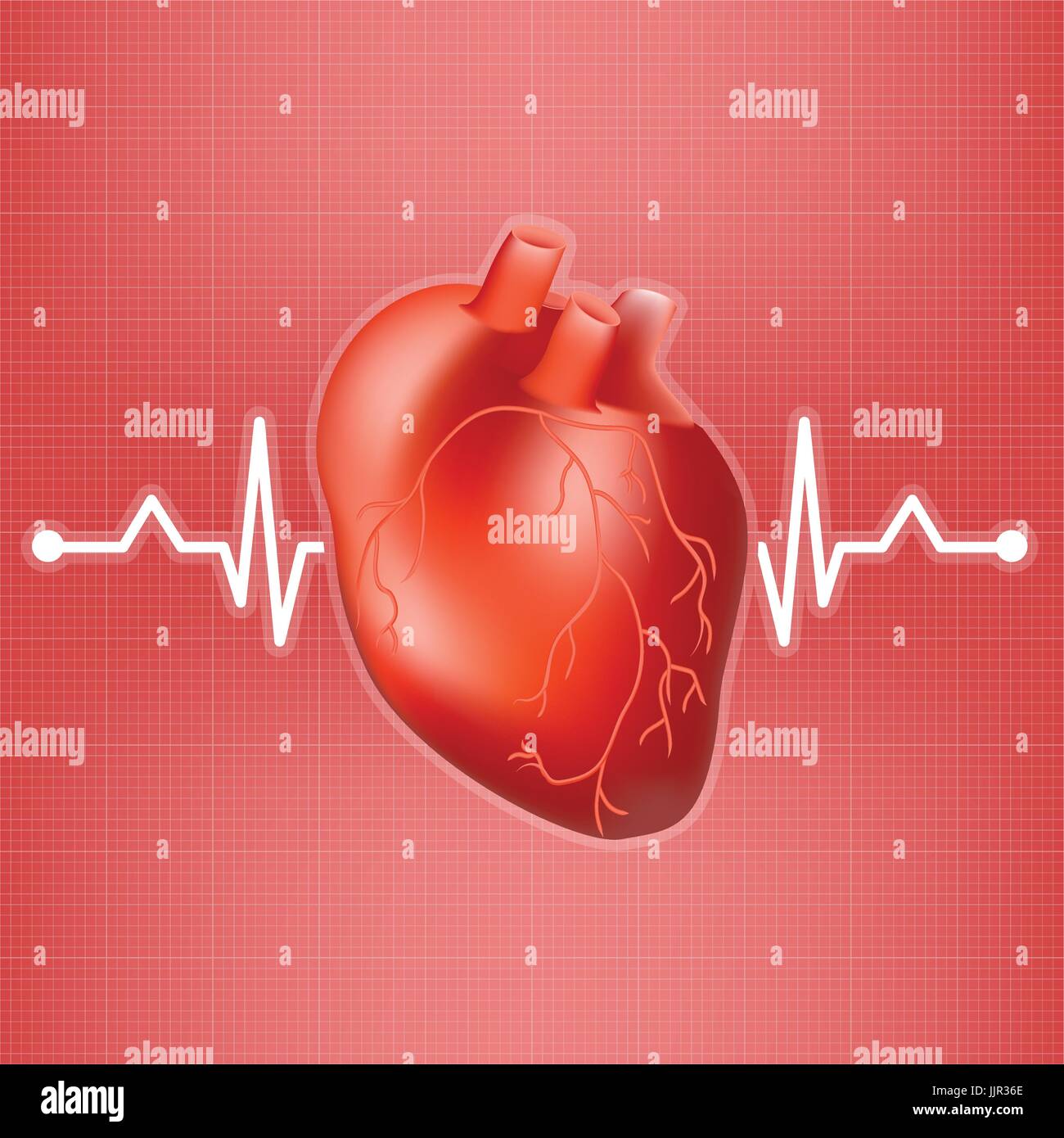 Human Heart And Heart Beat On Ekg Isolated On A Background. Realistic ...