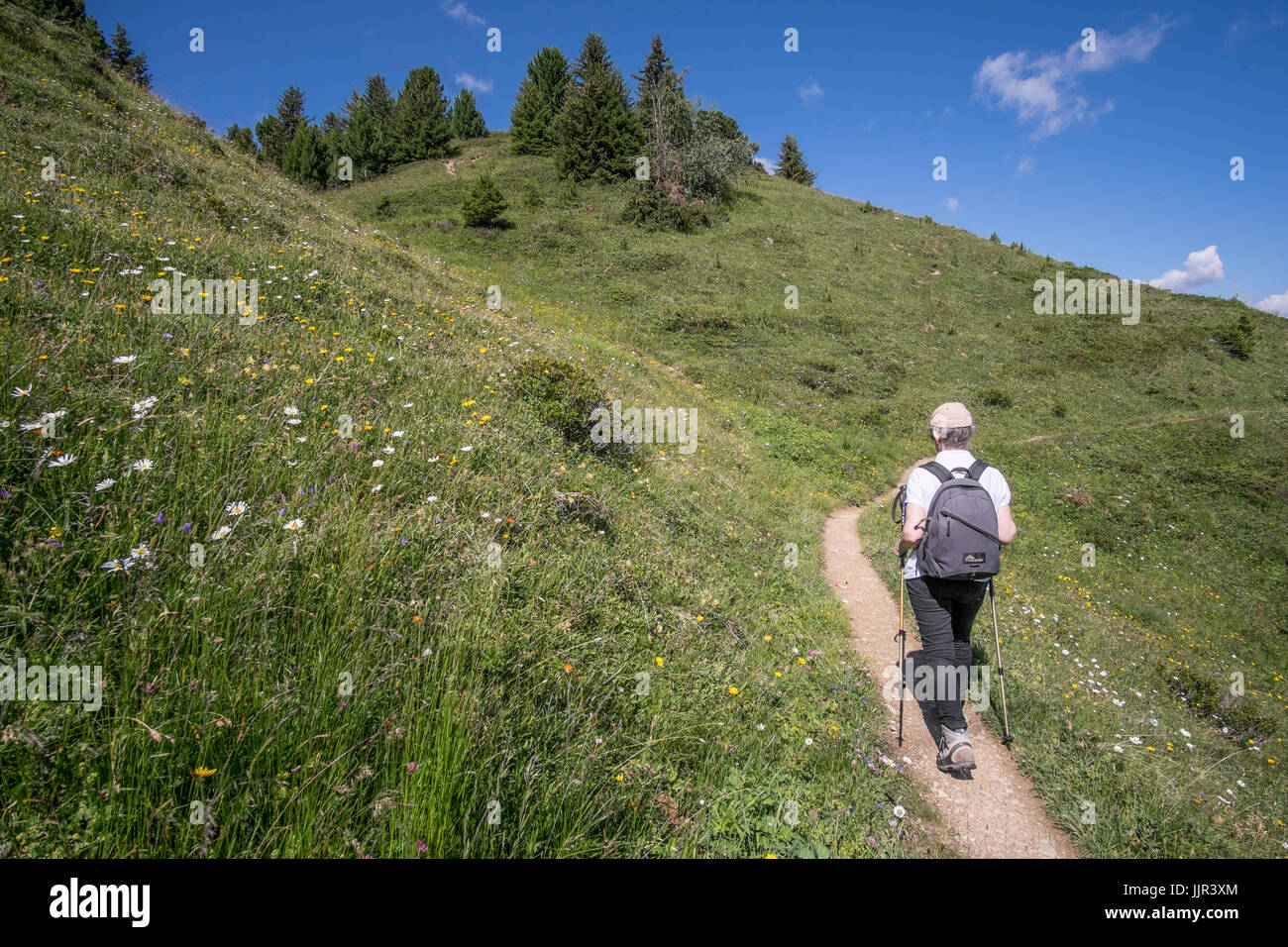 French alpine hillside in summer with wild flowers and blue sky, woman ...